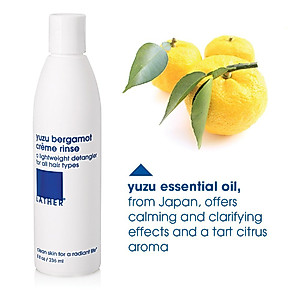 LATHER Yuzu Bergamot Conditioner - Lightweight & Non-Greasy Crème Rinse Formula - Gentle Daily Hair Detangler Conditioner for All Hair Types - Sulfate Free - 8 Fl Oz Bottle