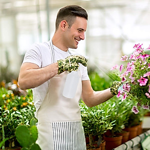 ChefLand Empty Professional Spray Bottles - New Improved 100% Leak Proof Technology, 16 Oz - Durable Trigger Sprayer with Mist & Stream & Off Modes - Pack of 3 -