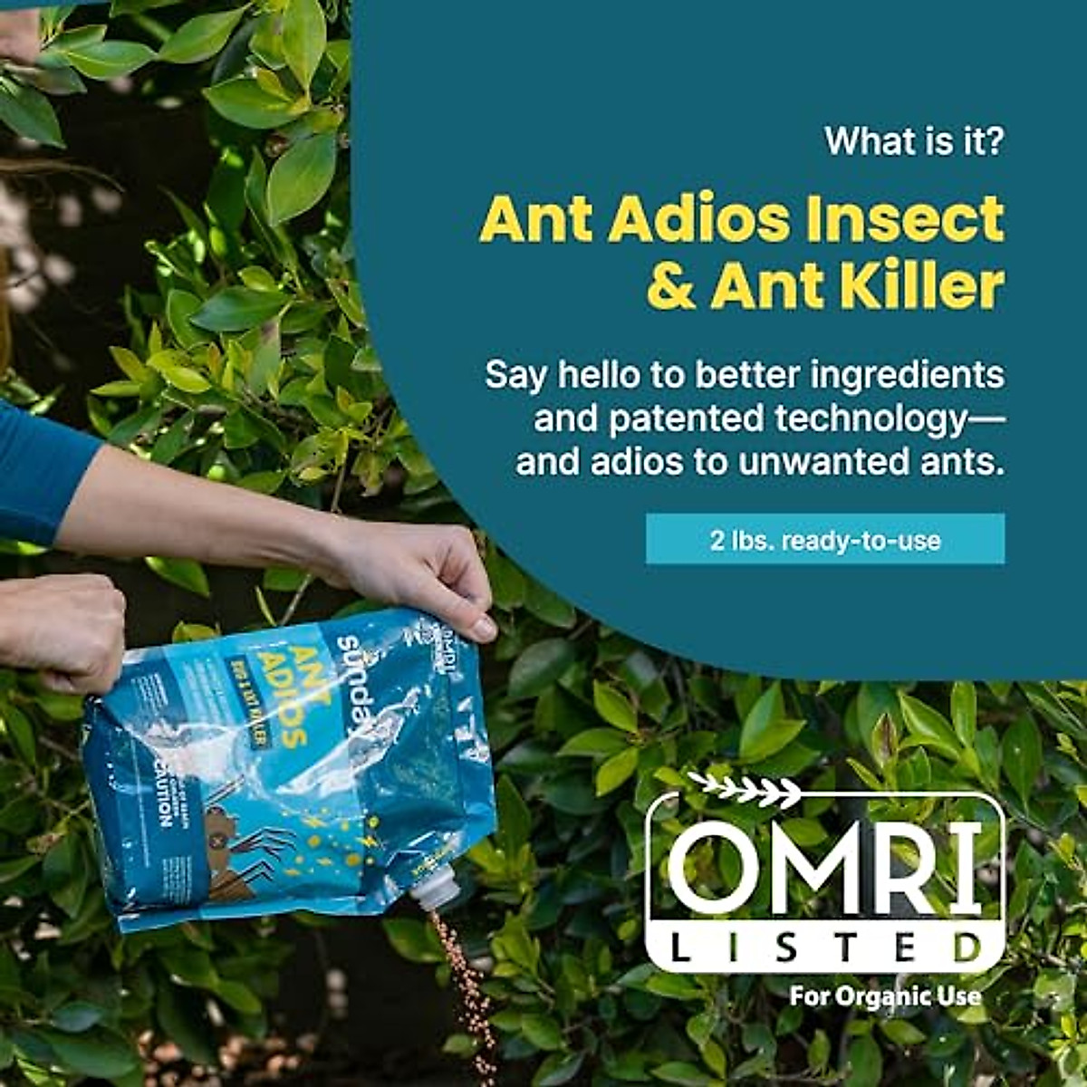 Sunday Ant Adios - Insect & Ant Killer - Outdoor Ant Killer Uses Spinosad to Eliminate Ants, Earwigs, Cutworms, & More - for Organic Gardening - Treats 4,000 sq ft - Results in 3-14 Days - 2lbs