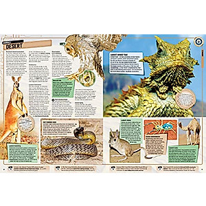 Guinness World Records 2020