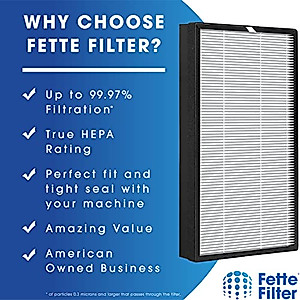 Fette Filter - HSP003 Air Purifier Filter Compatible with HSP003 Dual Filtration HEPA Air Purifier - Pack of 2