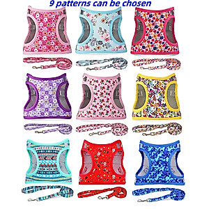 Moonpet Step in Air Dog Harness Leash Set- All Weather Reflective No-Pull Floral Pattern Padded Mesh Vest Harness for Cats Puppy Extra-Small Small Medium Large Dogs - Pink Flower - XXS