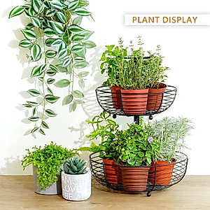 CAXXA 2 Tier Fruit Basket Bowl Kitchen Heavy Duty Wire Organizer, Black