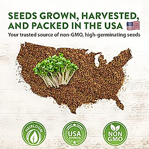 Sprouts and Microgreens Seeds Bulk Mix (16oz): Broccoli, Alfalfa, Radish, Clover Seeds for Sprouting - Grow Healthy Non-GMO Micro Greens - Sprout Seeds Variety Pack - Even Spread of Varieties