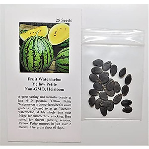 David's Garden Seeds Fruit Watermelon Yellow Petite 9832 (Yellow) 25 Non-GMO, Heirloom Seeds
