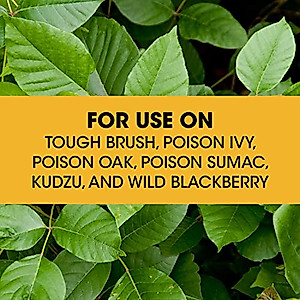 Roundup Concentrate Poison Ivy Killer Plus Tough Brush Killer for Weeds, Grass, Stumps with 24 hours Results, 32 oz.
