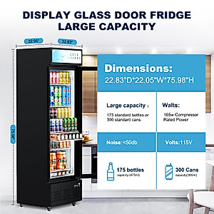 FreezLabs Glass Door Refrigerator Commercial Beverage Refrigerators with LED Light, 12 cu.ft and 5 Shelves, Display Refrigerator for Cafe Restaurant Store Bar, ETL/NSF Approved