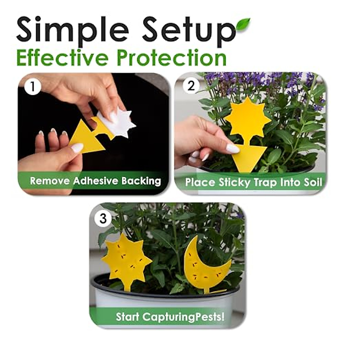 Classy Casita Yellow Sticky Traps - Fungus Gnat Trap, Houseplant Fly Control, Indoor and Outdoor Plant Insect Stakes, Potted Plants Mosquito Pest Bugs Catcher, Gifts for Plant Lovers - 24-Pack