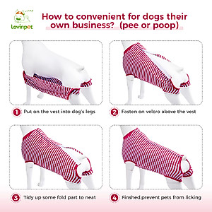 LovinPet Recovery Shirt - Full Coverage Dog's Bodysuit Wound Protective Surgical,E-Collar Alternative Recovery Snugly Suit for Abdominal Wounds After Surgery Anti-Licking Dog Onesies,Short Legs,XL