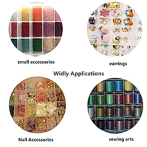 Feadily 36 Grids Plastic Large Nail Organizer Box, for Nail Accessories, Sewing Arts, Beads, Acrylic and Oil Paint, 14.9" x 9.2" x 1.9",Clear (1 Pack)