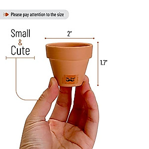 Mr. Pen- Mini Terracotta Clay Pots, 1.7", 8 pcs, Clay Pots for Plants, Small Terracotta Pots, Terracotta Planter, Small Clay Pots, Plant Pots with Drainage Holes, Clay Flower Pots, Terra Cotta Pots