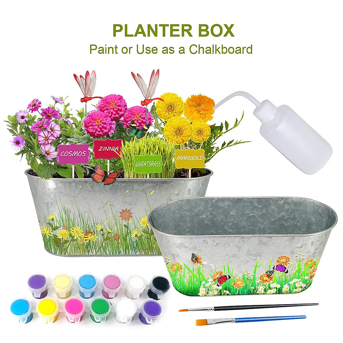 Paint & Plant Flower Growing Kit for Kids - Best Birthday Crafts Gifts for Girls&Boys Age 5, 6, 7, 8-12 Year Old Girl Christmas Gift - Childrens Gardening Kits, Art Crafts Projects Toys for Ages4-12