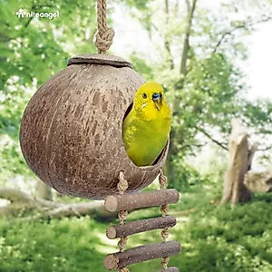 Niteangel Natural Coconut Hamster Hideaway with Ladder, Bird and Small Animal Toy (House with Ladder, Smooth Surface)