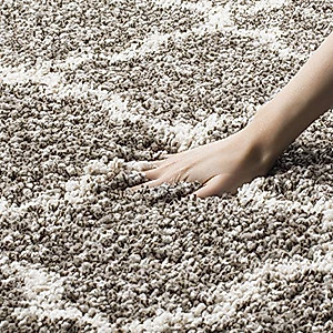 SAFAVIEH Hudson Shag Collection Accent Rug - 4' x 6', Grey & Ivory, Trellis Design, Non-Shedding & Easy Care, 2-inch Thick Ideal for High Traffic Areas in Entryway, Living Room, Bedroom (SGH282B)