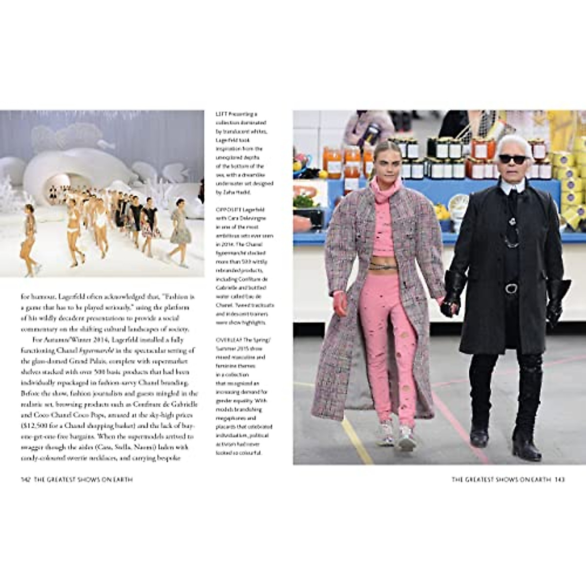 The Little Book of Chanel by Lagerfeld: The Story of the Iconic Fashion Designer (Little Books of Fashion, 15)