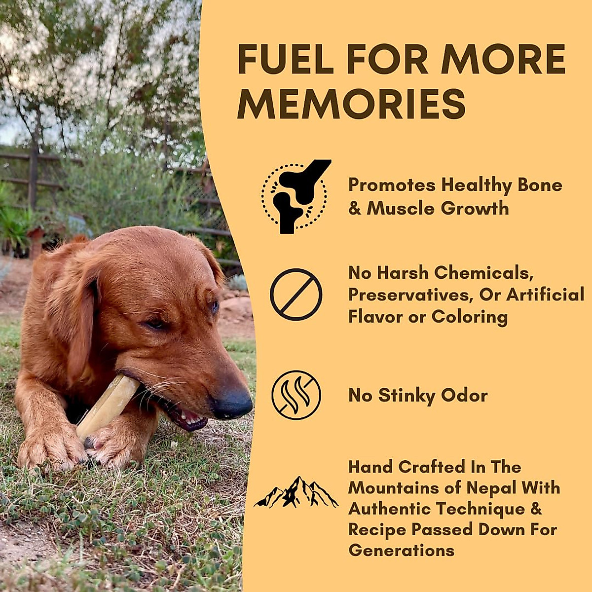 Back 40 Dogs Himalayan Yak Cheese Dog Chews – Long-Lasting Natural Chews for Aggressive Chewers – 2-Ingredient, High Protein, Odorless, Dental Health Treats for Dogs (Large, 4 Pack)