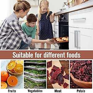 8 Pcs Silicone Dehydrator Mats 10 Pcs Mesh Screen Dehydrator Sheets Nonstick Reusable Fruit Dryer Trays for Jerky Fruit Herbs Flax Crackers Crust Tray