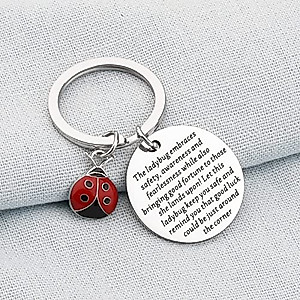 ENSIANTH Ladybug Keychian Good Luck Ladybug Keychain Insect Lover Gift Animal Researchers Jewelry Beetle Ladybug Gift Best Friend Gift (Ladybug Key)