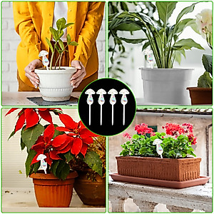 4pcs Plant Watering Globes, Watering Globes Glass Rainbow Clear Self Watering Bulbs for Plants Watering Bulbs Automatic Plant Waterer for Indoor Outdoor Plants Flowers Garden Water Device