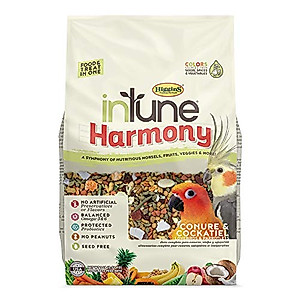 Intune Harmony Conure, Cockatiel, Lovebird and Parrot Food 2Lb, Multicolor (038219)