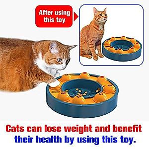 Puzzles Toy Used for Both Cats Dogs,Cat Brain Toys Kitten Mental Stimulation Kitty Mentally Stimulating Puzzle Feeder Best Interactive Indoor Treat Dispenser Food Dispensing Bowl Smart Game C