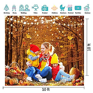 CYLYH 10x10ft Thanksgiving Backdrop Fall Photography Backdrop Autumn Maple Forest Leaves Pumpkin Party Background Thanksgiving Party Supplies Farm Harvest Event Banner Thanksgiving Banner CY579