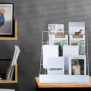 Sintuff Book Display Rack 4-Tiered Book Display Stand 18" Book Signing Wire Rack Tabletop Cd Display Countertop Comic Book Magazine Rack for Library Classroom Picture Literature Brochure(White)