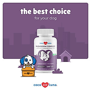 Mushroom Complex for Dogs - 120 Chewable Tablets - Turkey Tail Mushroom for Dogs - Immune Support, Joint Support, Digestive Support and Liver Support with Milk Thistle - Dog Mushroom Supplement