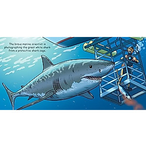 Good Night Sharks (Good Night Our World)