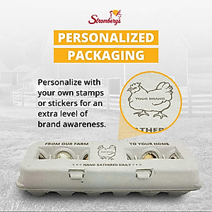 Stromberg's Large Blank Egg Cartons, Bulk Pack for Large Eggs, Perfect for Custom Branding, Safe & Secure Egg Storage, Convenient Stacking for Easy Transport and Storage, 250 Pack
