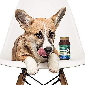 PetNC Natural Care Senior Multi Chewables for Dogs, 60 Count