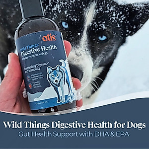 OTIS Digestive Health for Dogs | Ancestral and Heritage Probiotics - Intestinal Gut Health Support with DHA and EPA | Healthy Dog Supplements | 8 fl oz