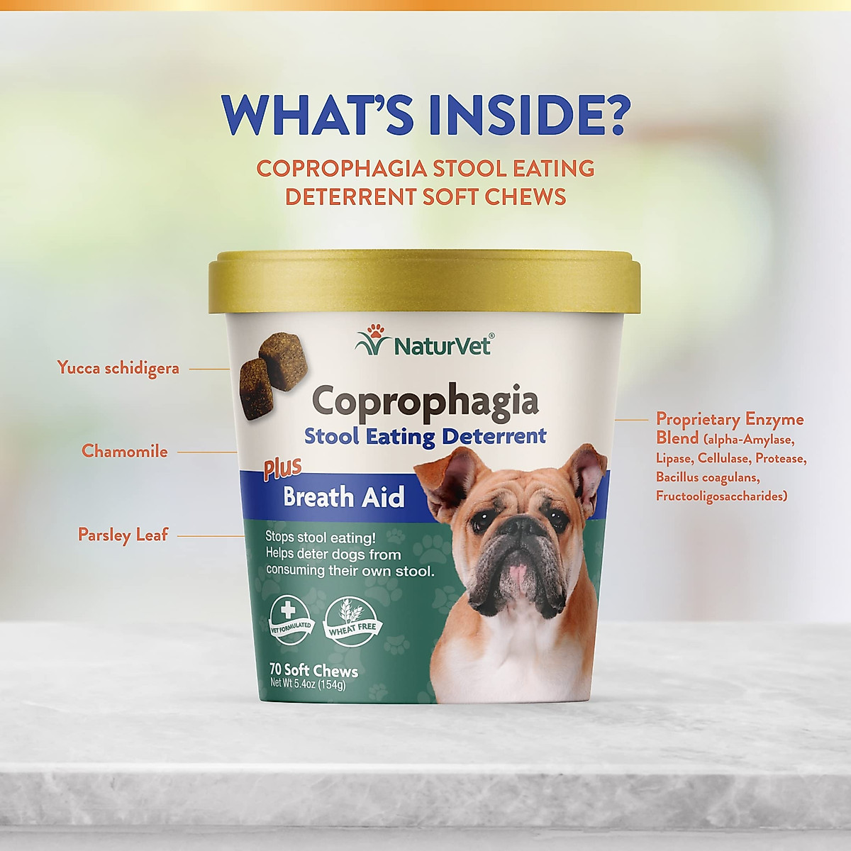 NaturVet – Coprophagia Stool Eating Deterrent Plus Breath Aid – 70 Soft Chews & Quiet Moments Calming Aid – Helps Promote Relaxation, Reduce Stress, Storm Anxiety, Motion Sickness for Dogs – 70 Ct.