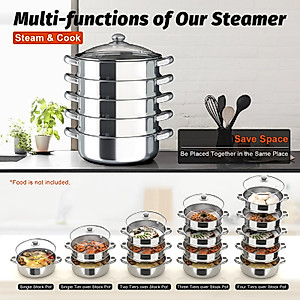 5-Tier Steamer Pot for Cooking 11.8in/30cm Steamer Pot,Stainless Steel Steam Pot Cookware with Glass Lid for Dumpling, Stock, Sauce, Food (Silver, 12 in)