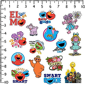Sesame Street Sticker Pack Die Cut Vinyl Large Deluxe Stickers Variety Pack - Laptop, Water Bottle, Scrapbooking, Tablet, Skateboard, Indoor/Outdoor - Set of 50