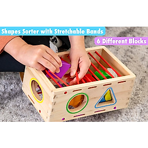 Pidoko Kids Shape Sorter Toys for Toddlers 1-3 | Montessori Toys for 1 Year Old Toys for Boys and Girls - Sensory Learning Developmental - Wooden Baby Toys 12-18 Months - 1st Birthday Gifts Boy Girl