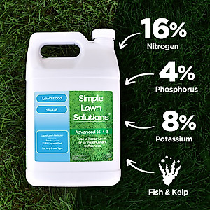 Advanced 16-4-8 Lawn Fertilizer - Liquid Lawn Food Spring & Summer Concentrated Spray - Any Grass Type- Fish and Seaweed Kelp- Balanced NPK - Simple Lawn Solutions (1 Gallon)
