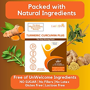 Live To Shine Turmeric Curcumin Topical Patches - 30 Days Supply – USA Made
