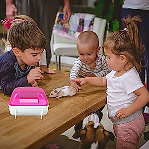 POPETPOP Hamster Sand Bath - Dust Bath Hamster Bathroom Bath Sand Room Sauna Toilet Sandbox 2 Pack, 12.5 x 9 x 9cm