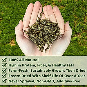 8 oz Dried Crickets - High Protein Insect Treat - Chickens, Wild Birds, Hedgehogs, Bluebirds, Reptiles, Sugar Gliders, Opossums, Skunks, Lizards, Bearded Dragons, Fish, Amphibians, Turtles (1)