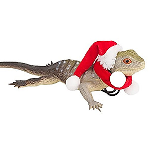 ADOGGYGO Bearded Dragon Halloween Hat Cloak Lizard Christmas Hat Scarf Set, Small Animal Halloween Christmas Festival Costume