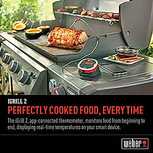 Weber iGrill 2 Thermometer