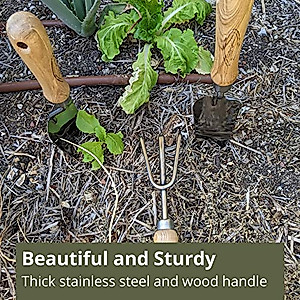 Classic 3 Piece Garden Hand Tool Set Made with Wooden Handle and Stainless Steel. Includes Large Trowel, Cultivator Hand rake, and Transplanter Trowel. Tools are Large and Heavy Duty. by Truly Garden