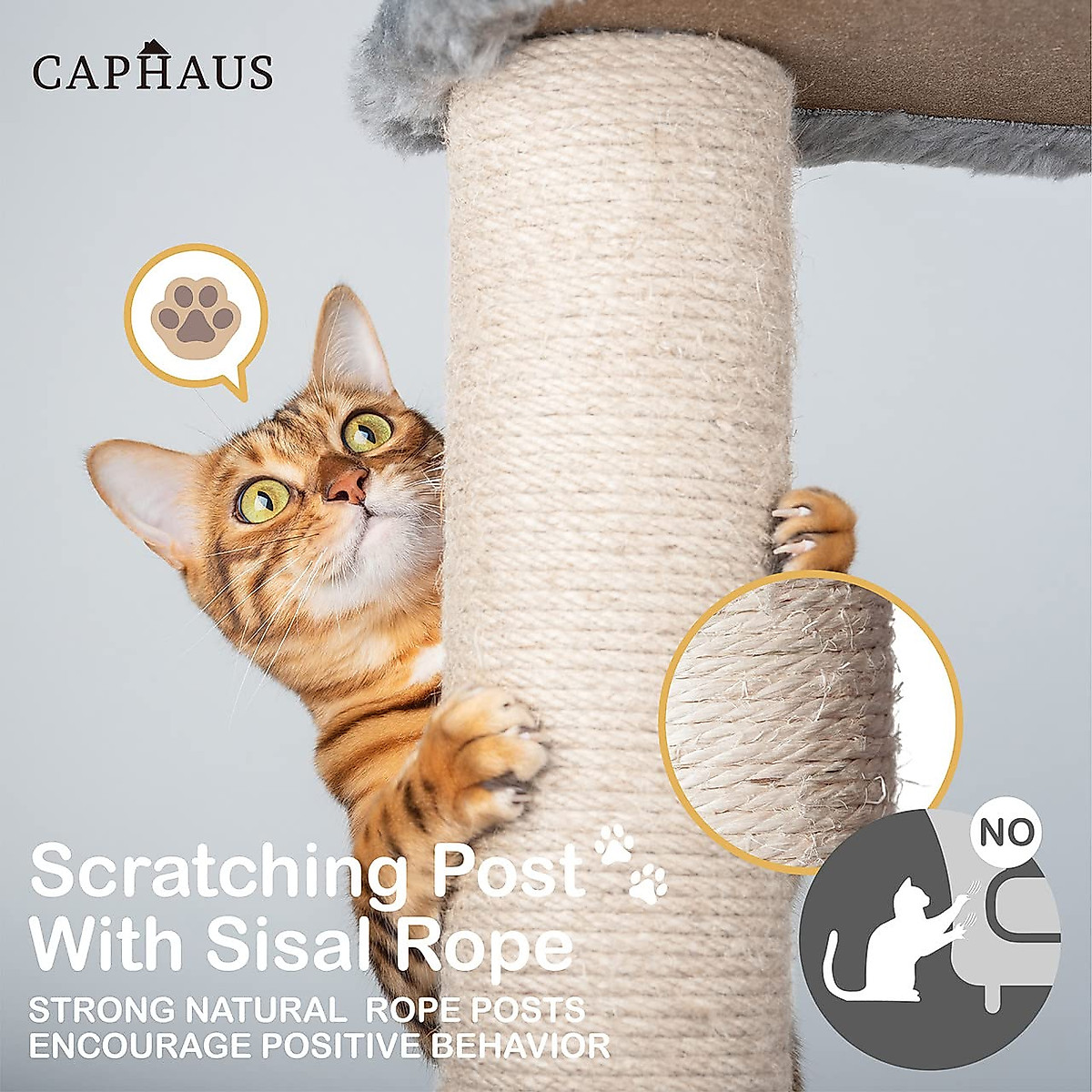 CAPHAUS 70-Inch Activity Tree with Hammock, Multi-Level Modern Cat Climbing Play Tower w Tall Top Perch, Cat Cave Condo, Indoor Cat Treew Cute Scratching Posts for Large Cats Kittens