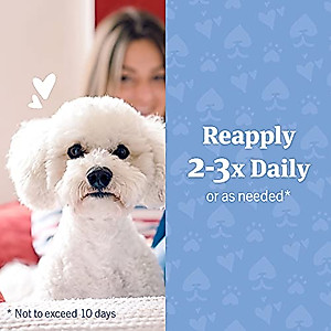 PetArmor Hydrocortisone Spray for Dogs & Cats, 4 oz