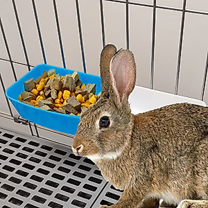 AMZSYLV Rabbit Feeder Waterer Chicken Guinea Pig Cage Bowl Food Water Hanging Watering Container Feeding Dish Coop Cup Treats Drinker for Pigeon Dove Puppy Cat Bird Bath Basin Hamster Bed (Pack of 3)