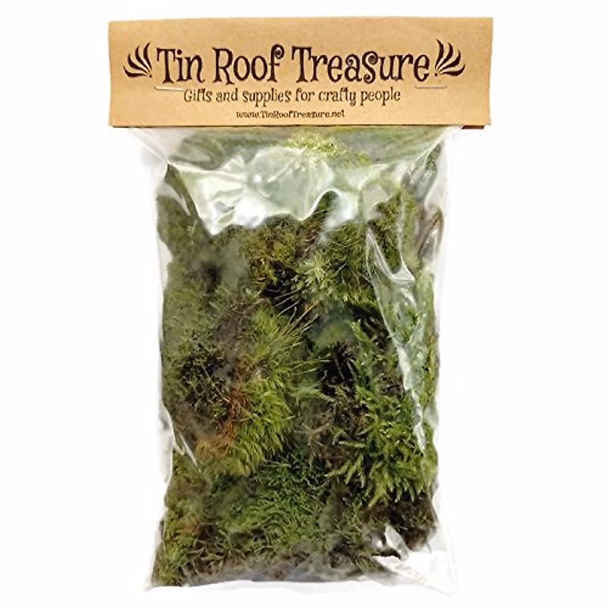 Tin Roof Treasure Live Terrarium Moss Assortment