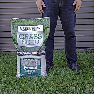 GreenView Fairway Formula Grass Seed Perennial Ryegrass Blend - 20 lb. Bag