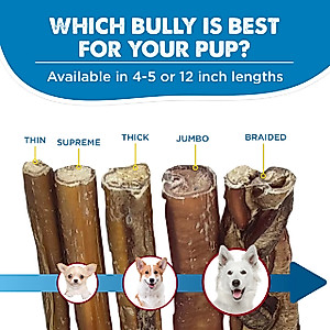 Best Bully Sticks All Natural 12 Inch Braided Bully Sticks for Medium and Large Dogs - easily digestible Limited Ingredient Rawhide Alternative Dog Chew - Free-Range Grass-Fed Beef Dog Treats - 4 Pack