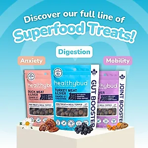 healthybud Turkey Dog Probiotic Chews - Gut Health Support - Prebiotic, Fiber & Vitamin Supplement, Puppy Liver Bites for Sensitive Stomach, Dog Stool Hardener (4.6oz)